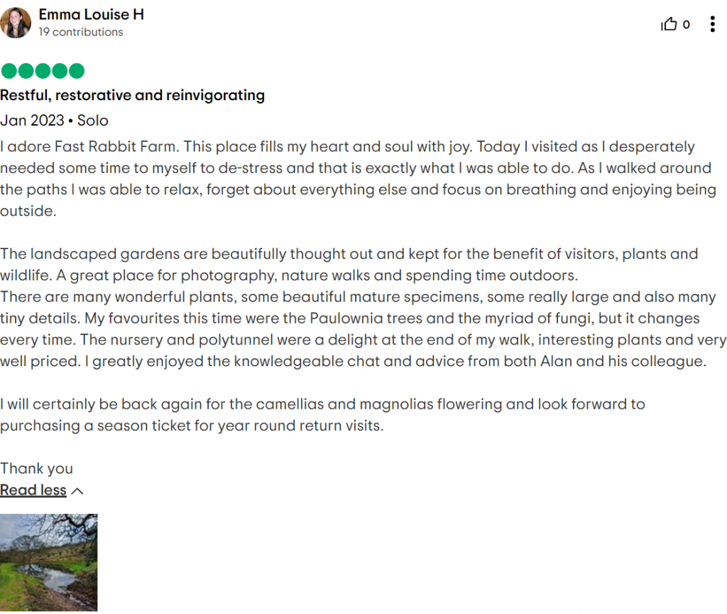 Fast Rabbit Farm – Woodland Garden & Plant Nursery near Dartmouth