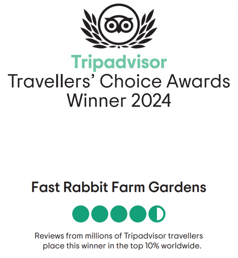 Fast Rabbit Farm – Woodland Garden & Plant Nursery near Dartmouth